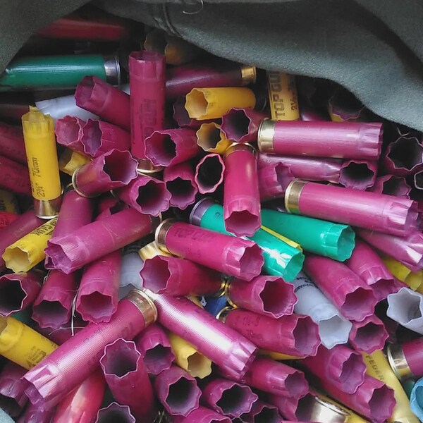 Shell Casing - Etsy