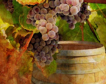 Grapes Note Cards Set of 10 With Matching Envelopes - Etsy