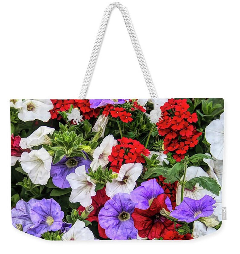 Red, White and Purple Petunias-printable Scrapbook Paper, Petunia ...