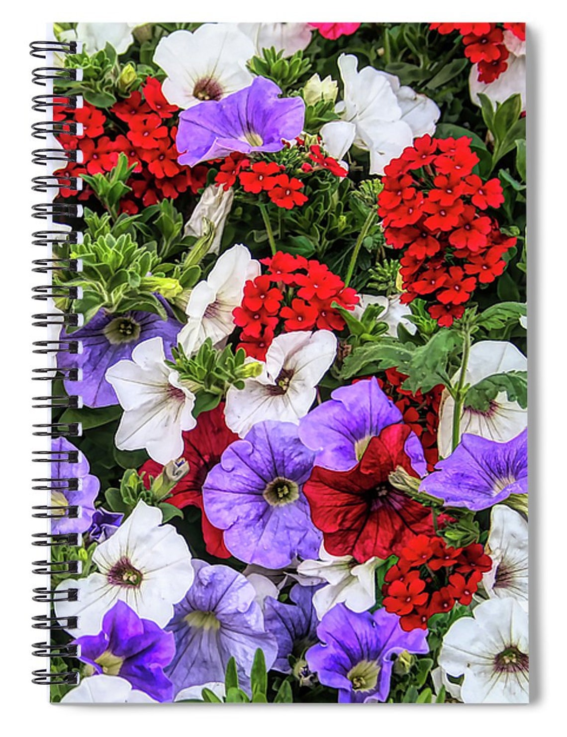 Red, White and Purple Petunias-printable Scrapbook Paper, Petunia ...