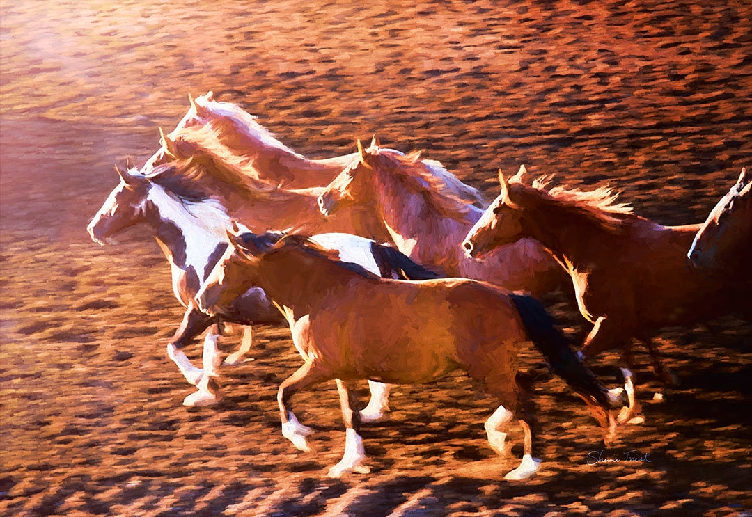 Free Rein Wild Horses-printable Poster Printable Wall Art - Etsy Australia