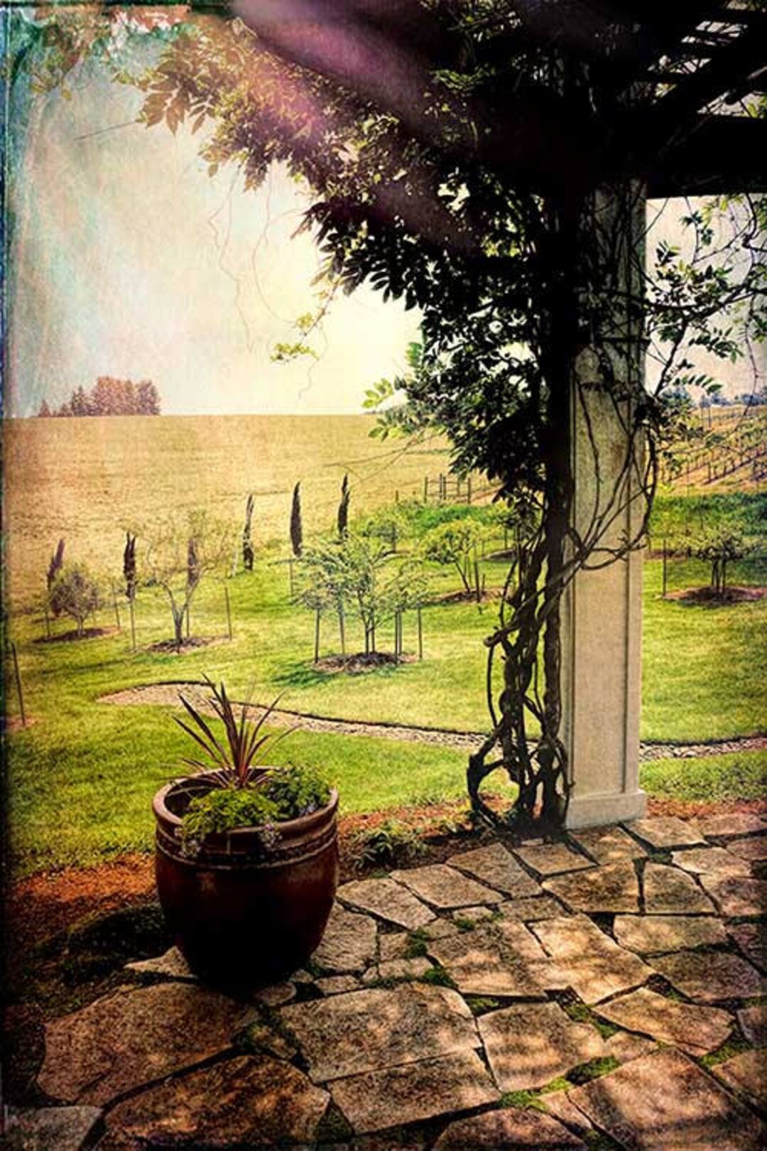 Printable Vineyard Scene, Terrace and Vineyard View Card, Vineyard Home ...