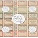 Vintage Field and Specimen Labels - Suitable for Use With Nature and ...