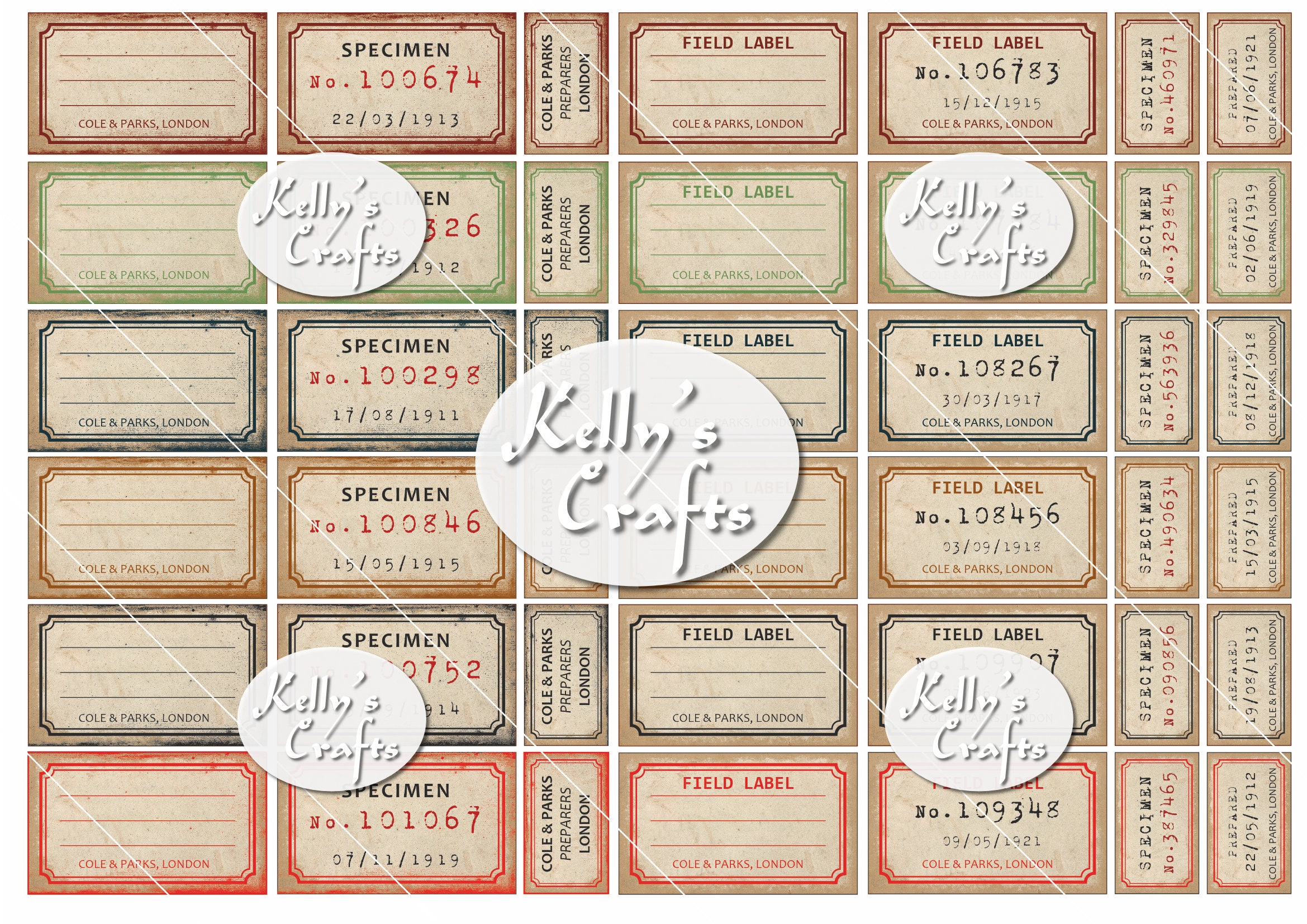 Vintage Field and Specimen Labels - Suitable for Use With Nature and ...