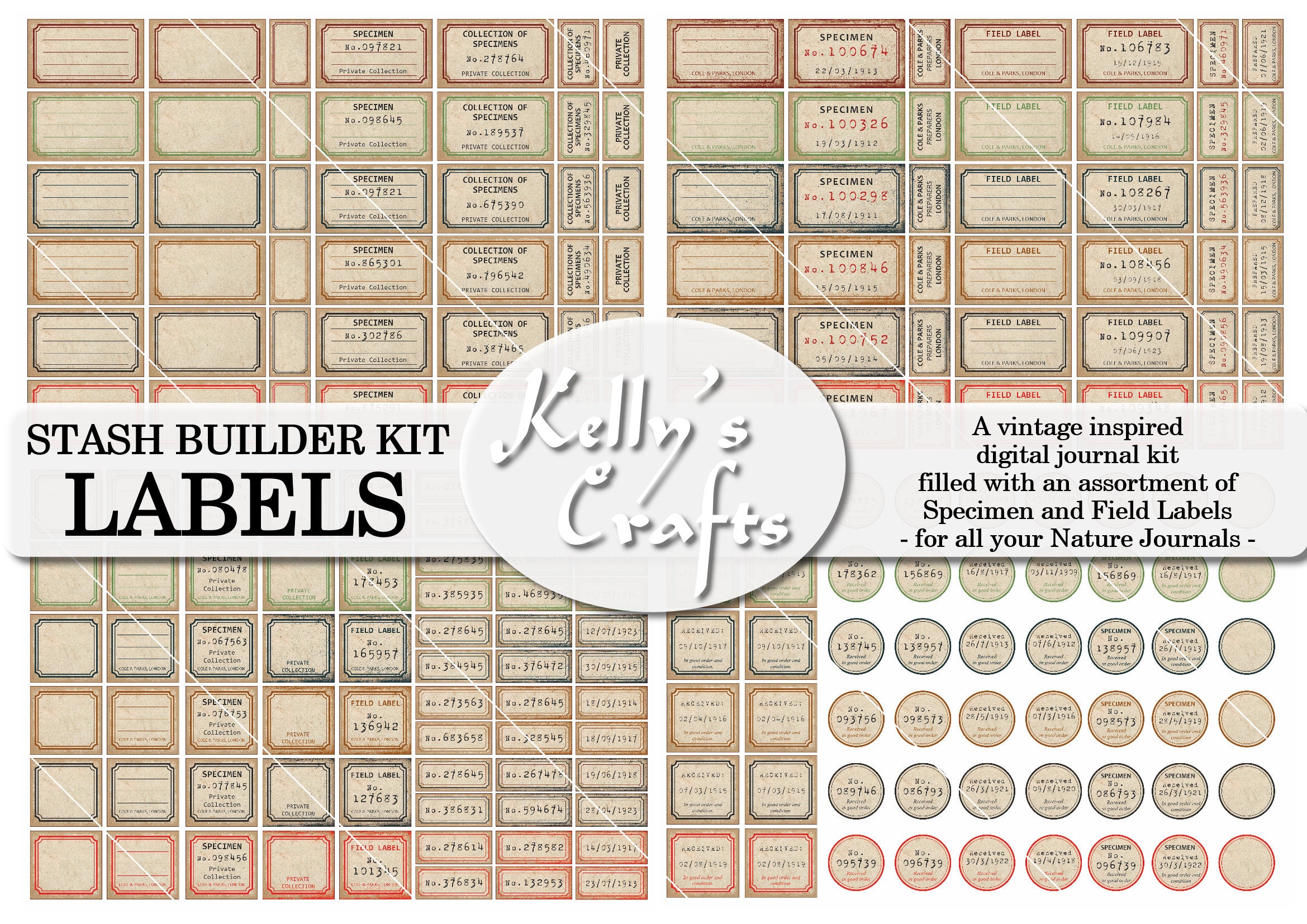 Vintage Field and Specimen Labels Suitable for Use With - Etsy UK