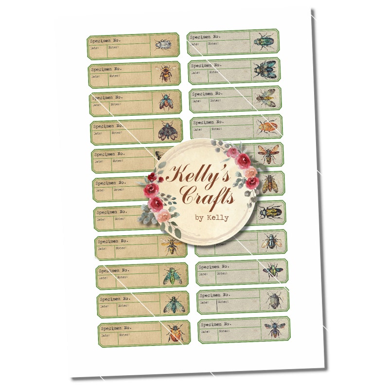 Specimen Labels With Bugs Digital Download Printable Journal - Etsy
