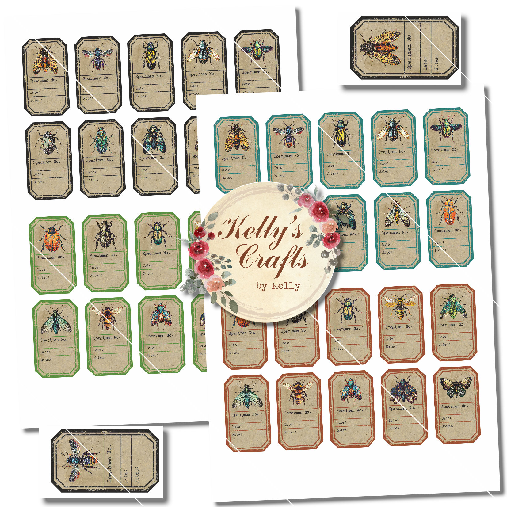 Specimen Labels With Bugs Digital Download Printable Journal - Etsy