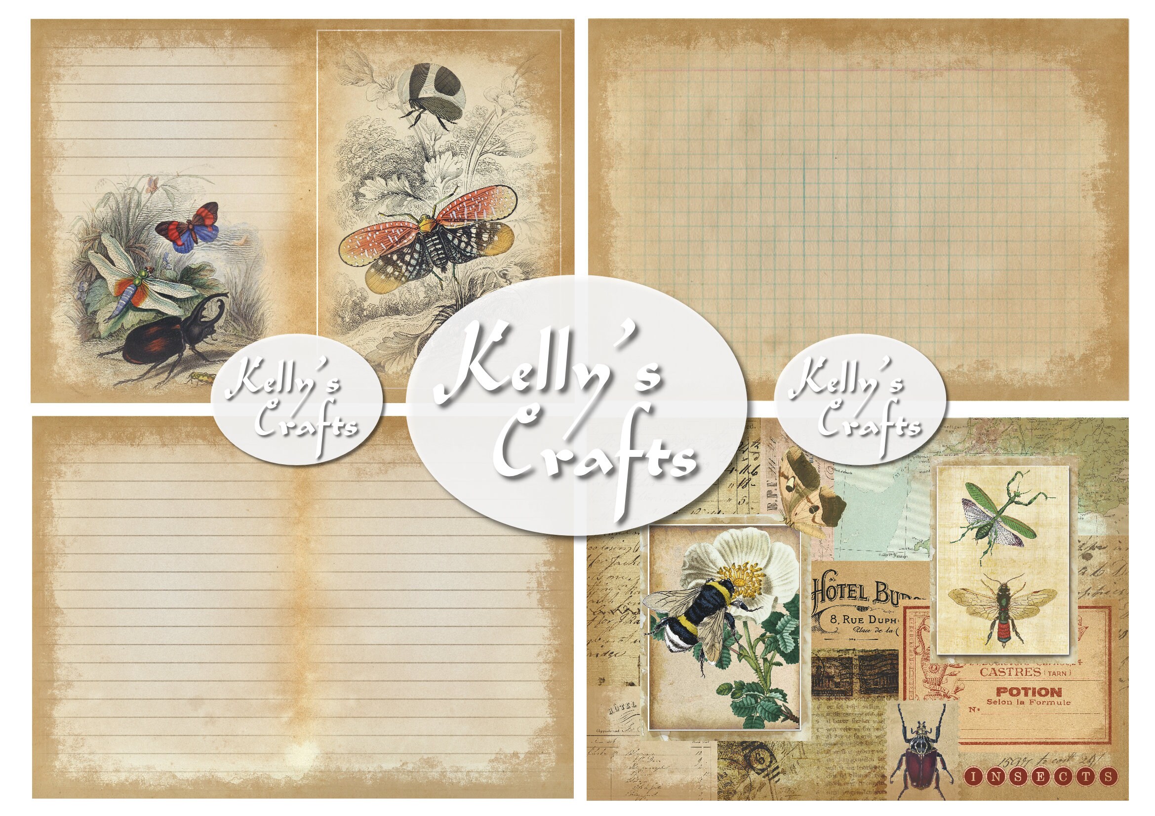 Nature Journal Kit 'entomology Study Journal' With - Etsy