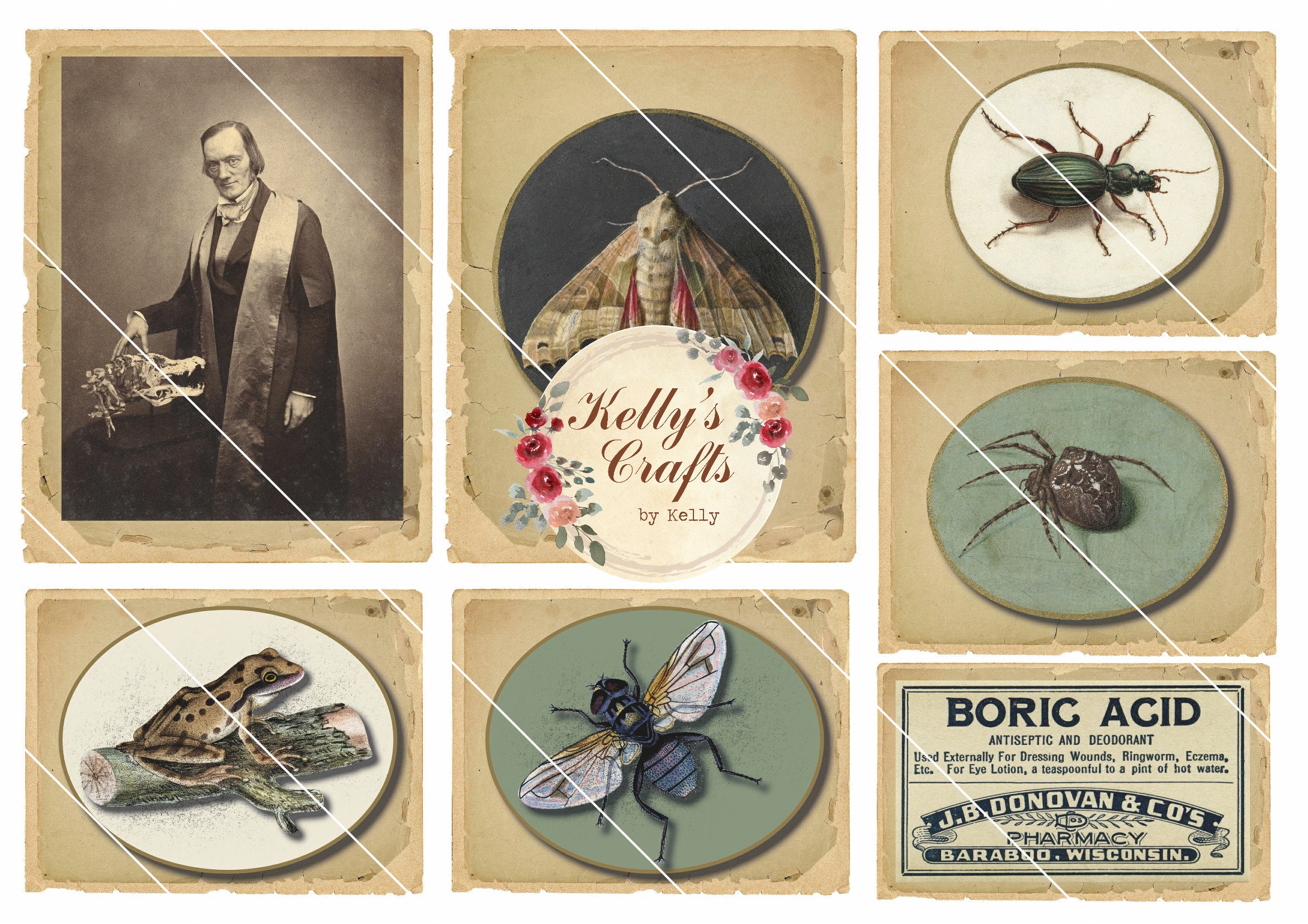 Vintage Science Journal Kit the Science Journal Grungy Junk - Etsy Canada