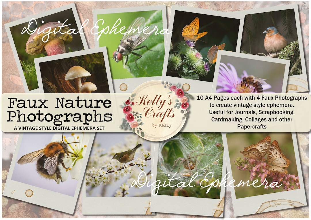 40 Nature Photographs, Vintage Photos, Printable Snapshots, Printable ...