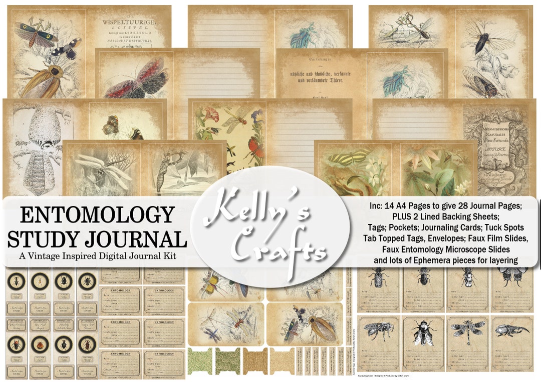 Nature Journal Kit, 'entomology Study Journal', With Lots of Vintage ...