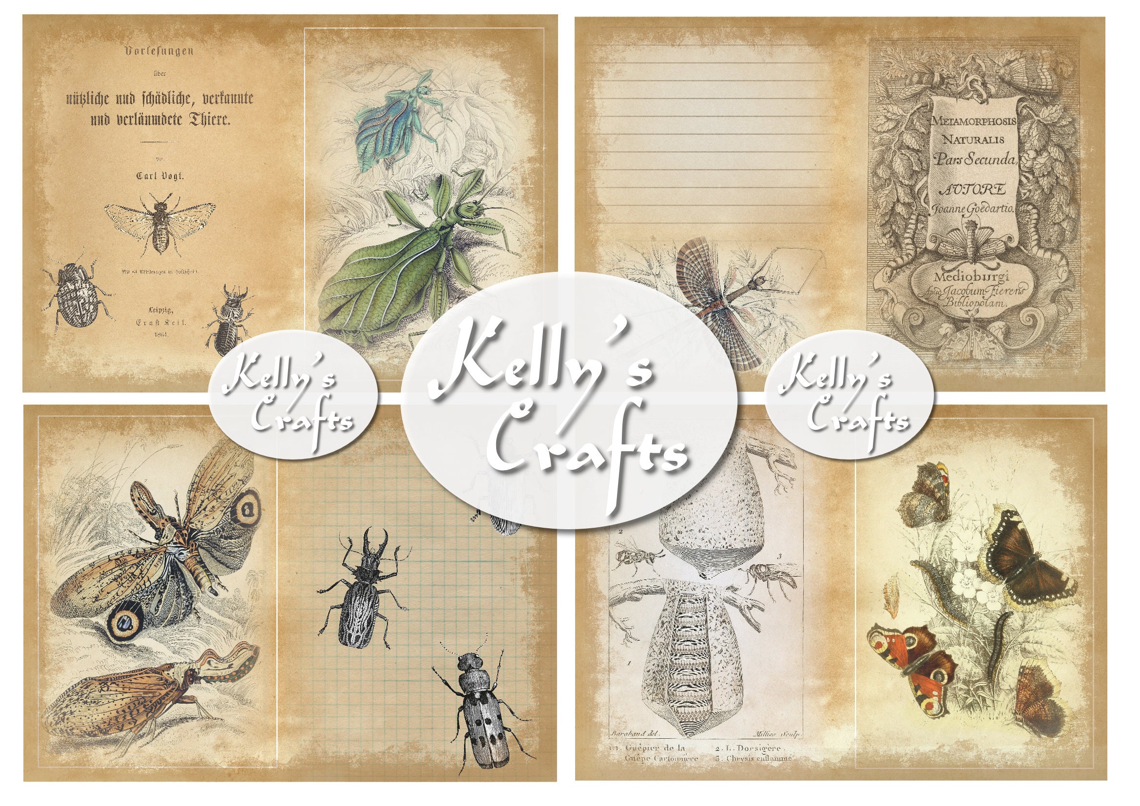 Nature Journal Kit 'entomology Study Journal' With - Etsy