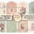 Rock, Mineral, Crystal and Fossil Specimen Cards and Labels - Field ...