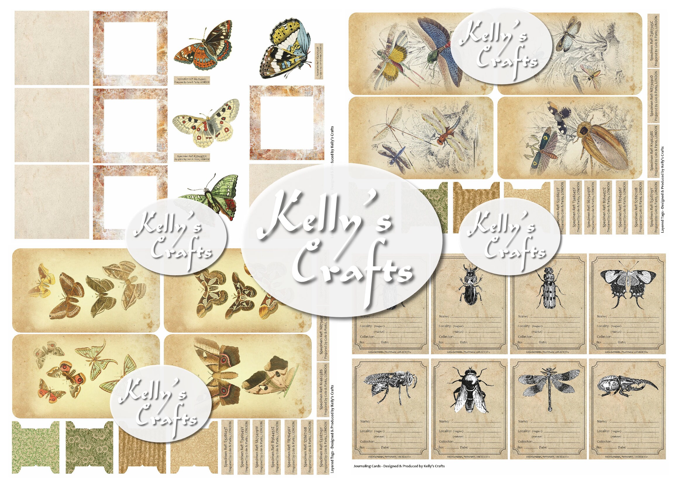 Nature Journal Kit 'entomology Study Journal' With - Etsy