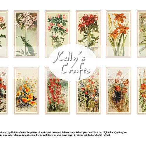 Tea Cards Herbs a Set of 12 Vintage Inspired Herb Tea - Etsy