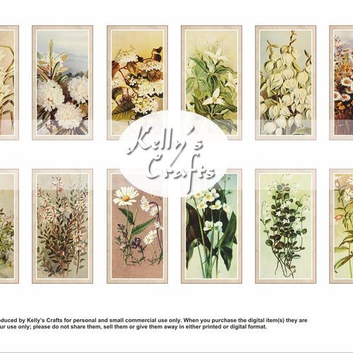 Tea Card Florals Oranges and Peaches a Set of 12 Vintage - Etsy