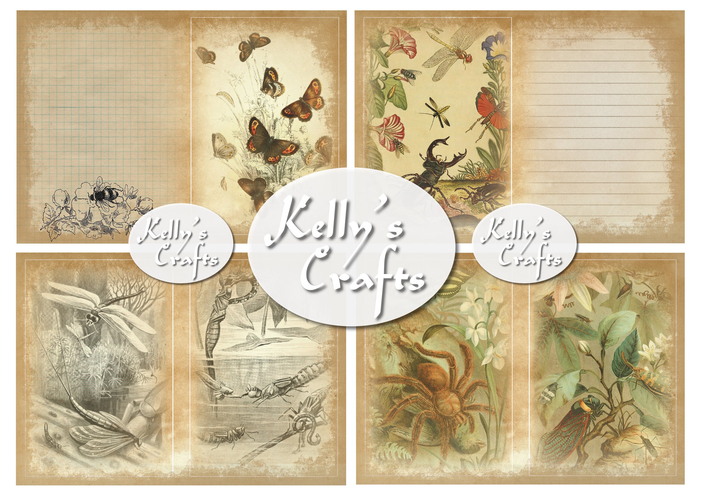 Nature Journal Kit 'entomology Study Journal' With - Etsy