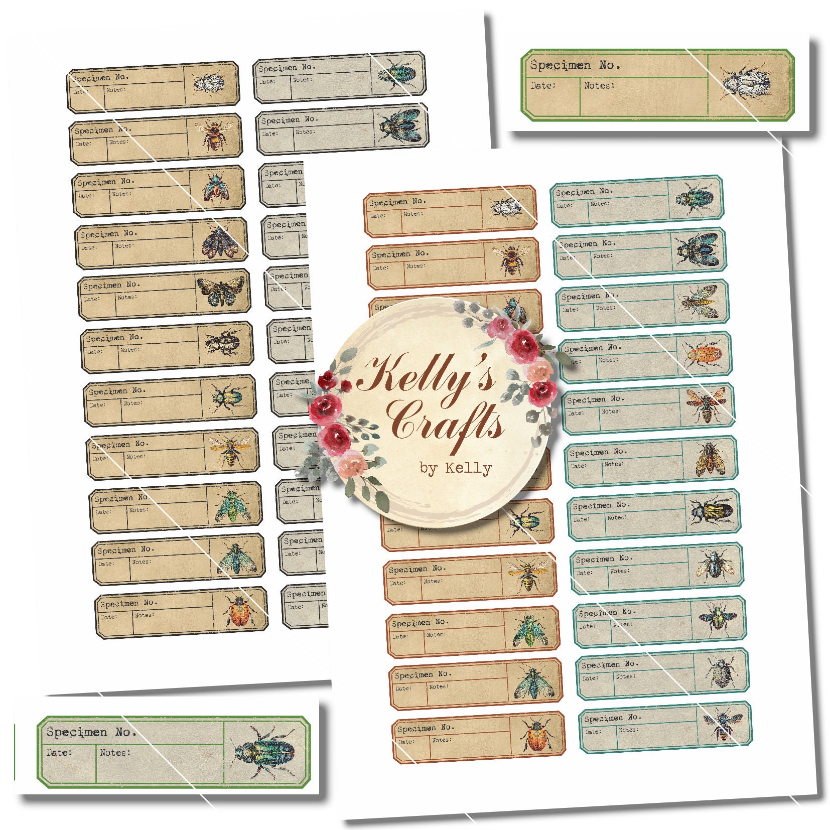 Specimen Labels With Bugs Digital Download Printable Journal - Etsy