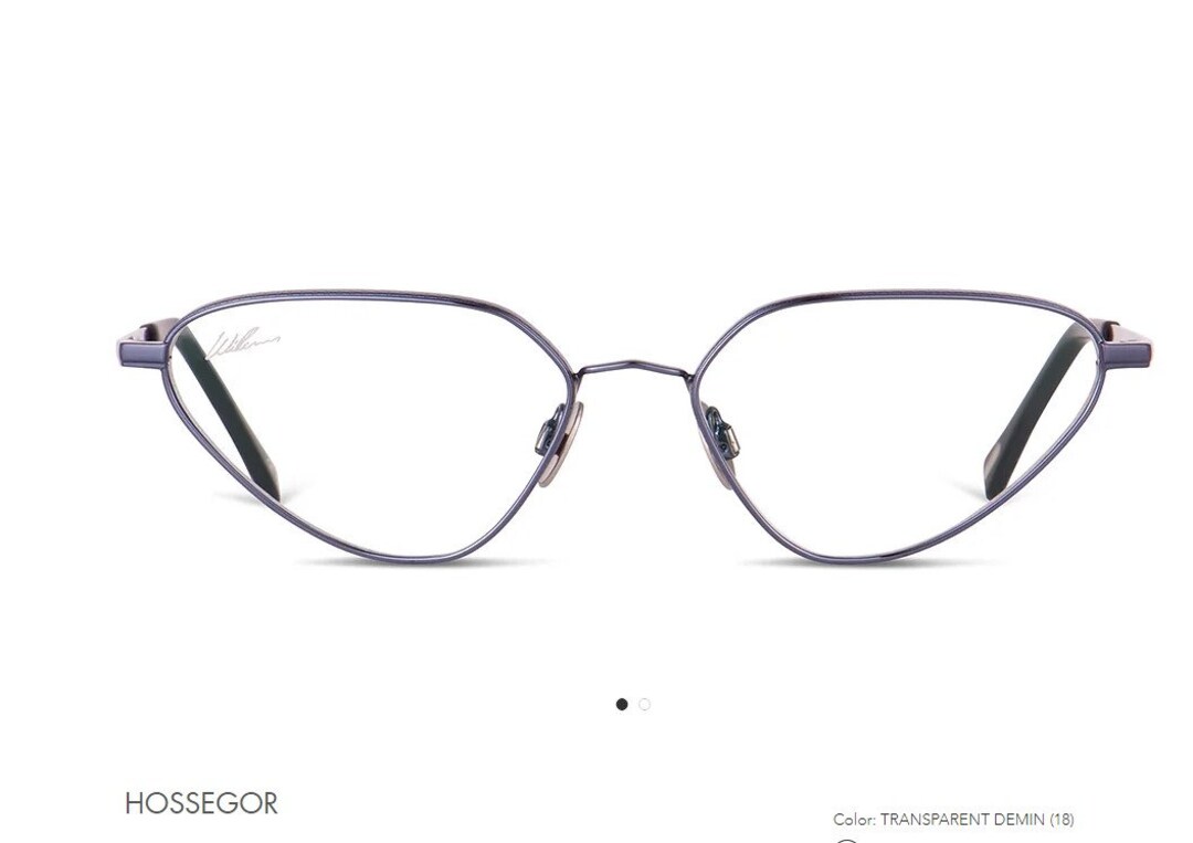 Retro Blue Triangular Eyeglasses in Stainless Steel and Titanium ...