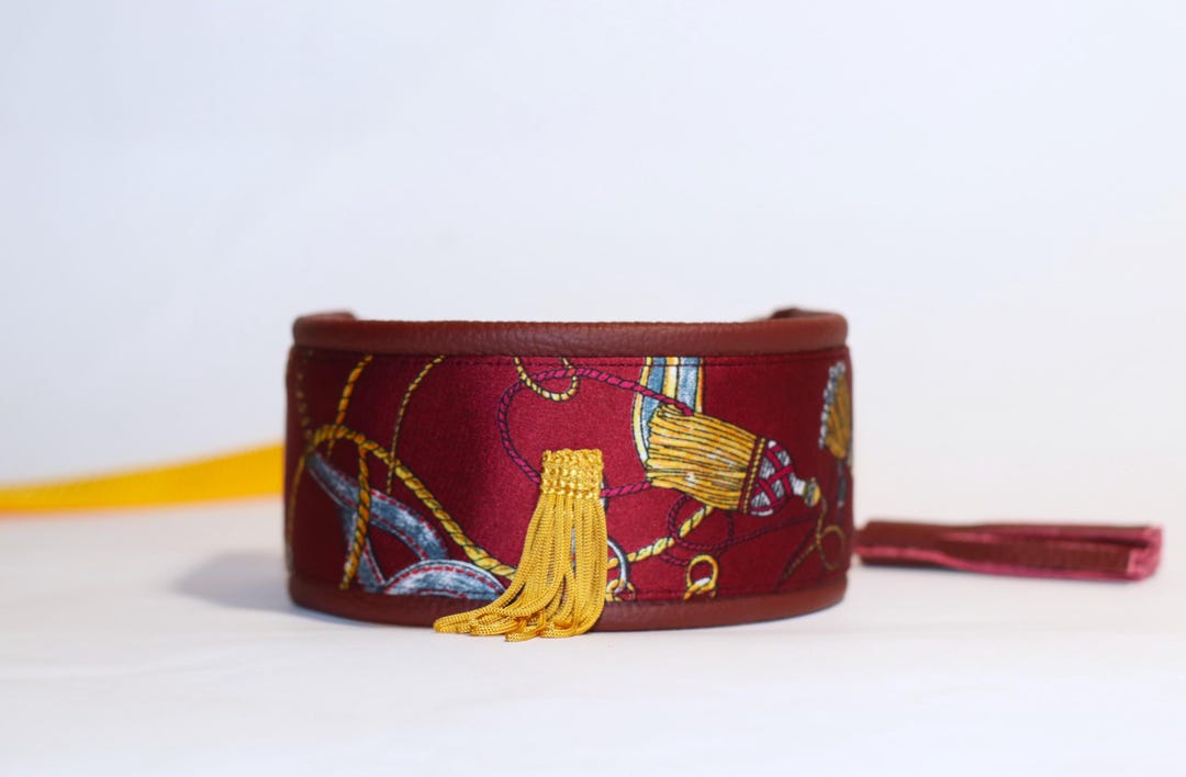 Lure Coursing Collar | PRIMA DONNA Collection | Wide Collar | Quick ...