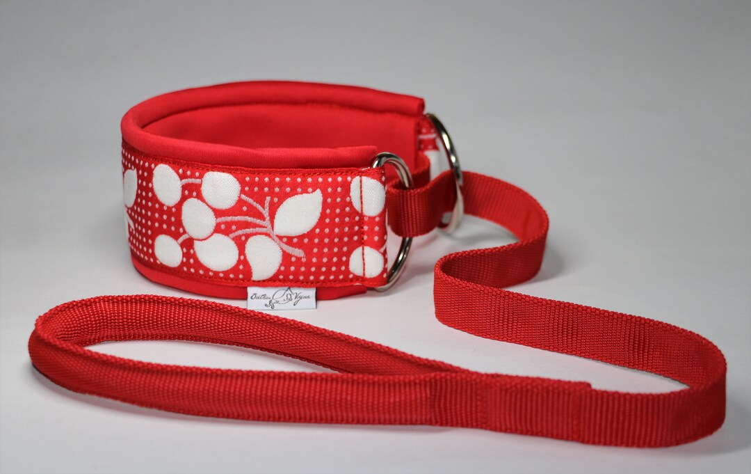 Lure Coursing Leash | "botanical Crush" Collection | Traffic Collar ...