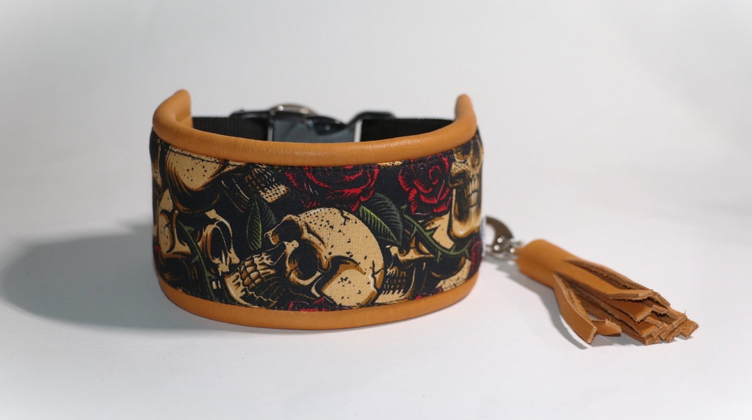 Dog and Sighthound Collar Plastic Buckle Slip-on Genuine Leather With ...