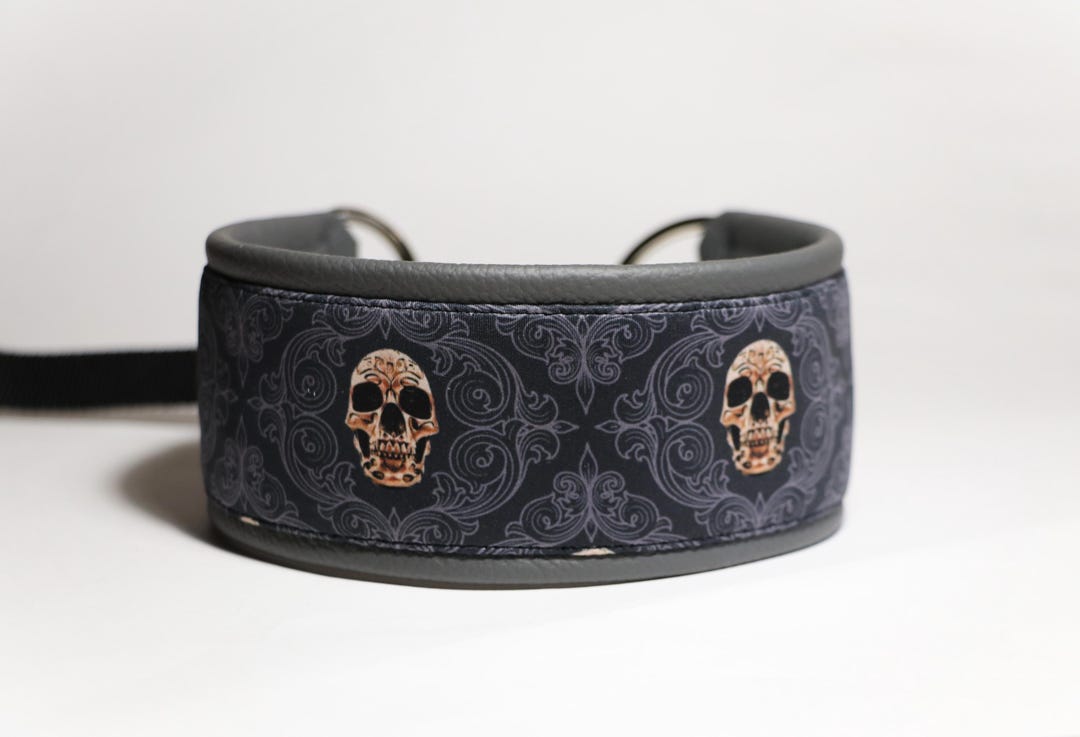 Lure Coursing Collar | UNIC Collar | "field Hooligan" Collection ...