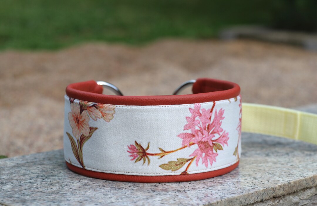 Lure Coursing Leash | "botanical Crush" Collection | Traffic Collar ...