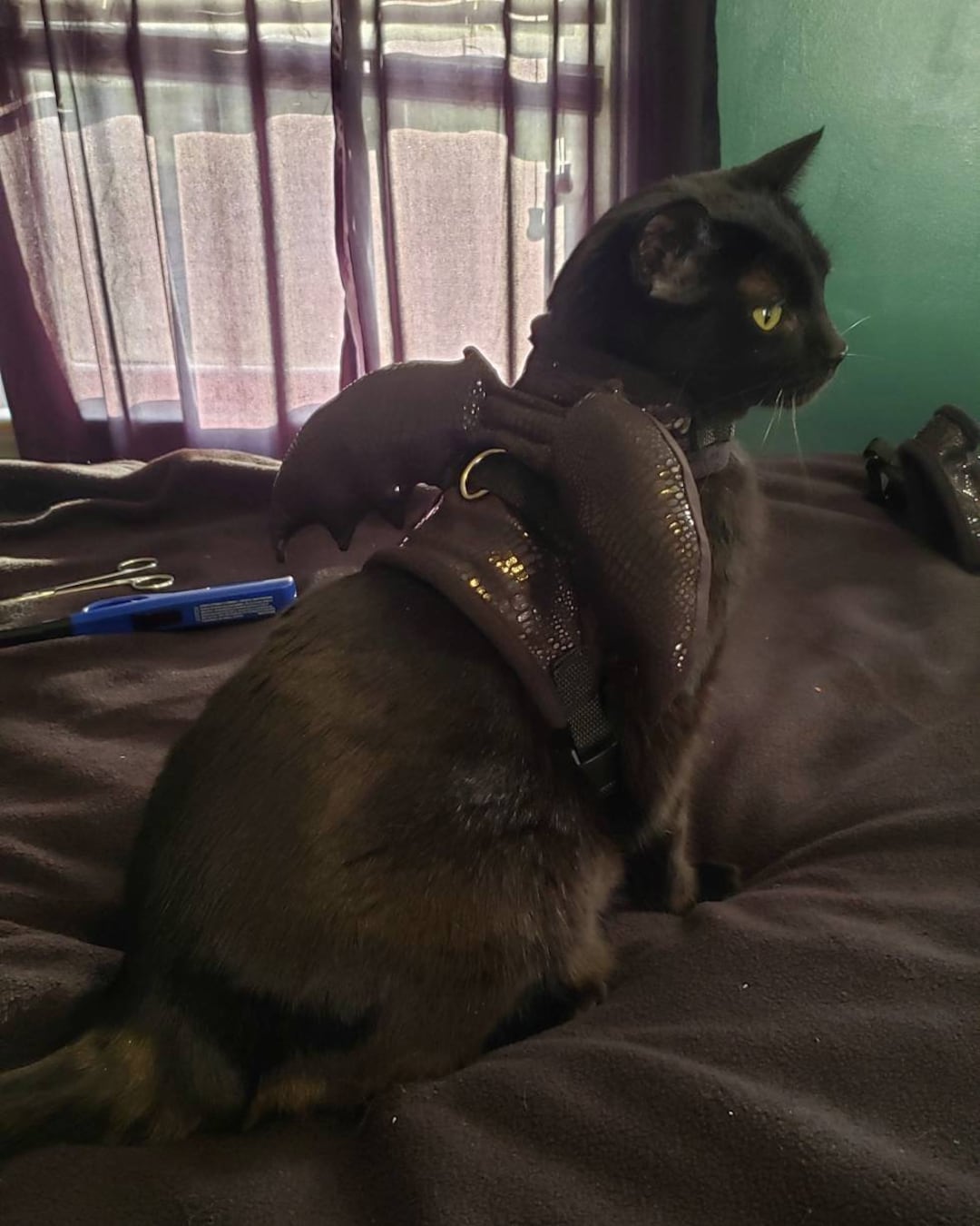 Black Dragon Harness With Removable Wings - Etsy