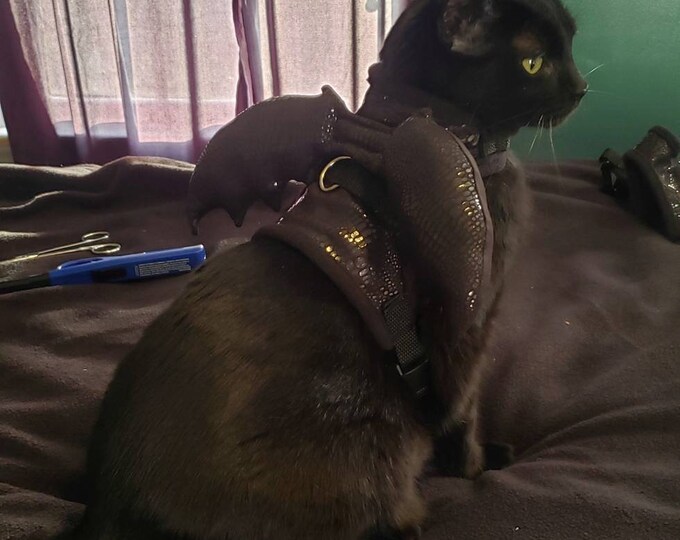 Black Dragon Harness With Removable Wings - Etsy