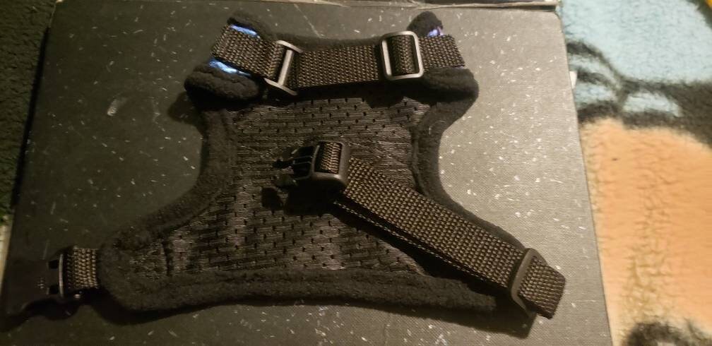 Black Dragon Harness With Removable Wings | Etsy
