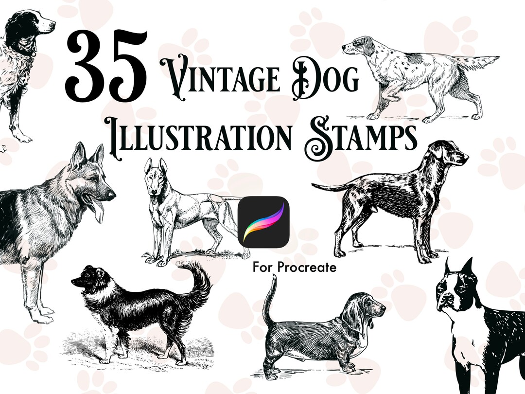 35 Procreate Vintage Dog Illustration Stamps, Dog Breed Stamps - Etsy