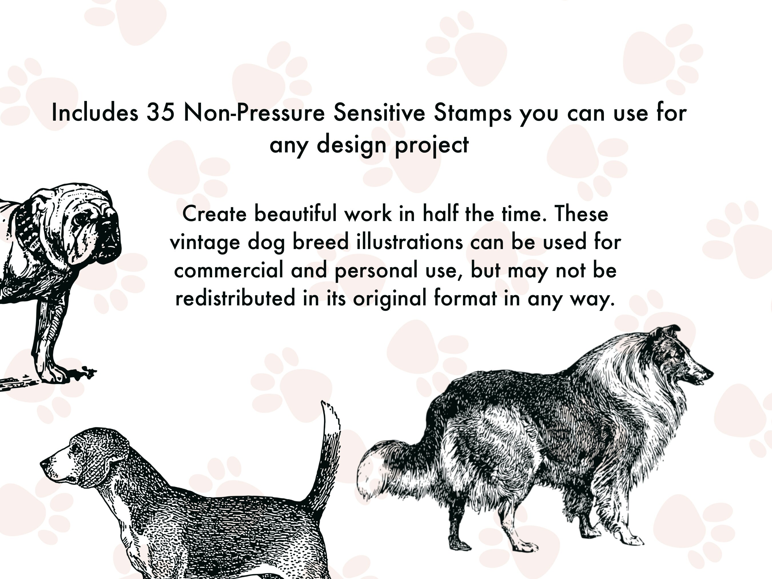35 Procreate Vintage Dog Illustration Stamps, Dog Breed Stamps - Etsy