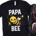 Papa Bee T-shirt / Honey Bee Shirt / Papa Bee / Dad Daddy / First Bee ...