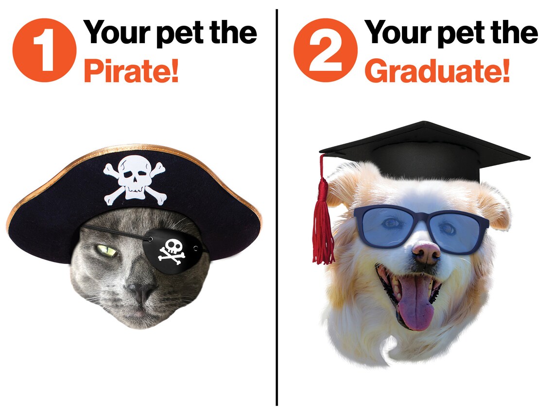 Pet Photo Booth Custom Pet Portrait Digital Pet Portrait - Etsy Australia