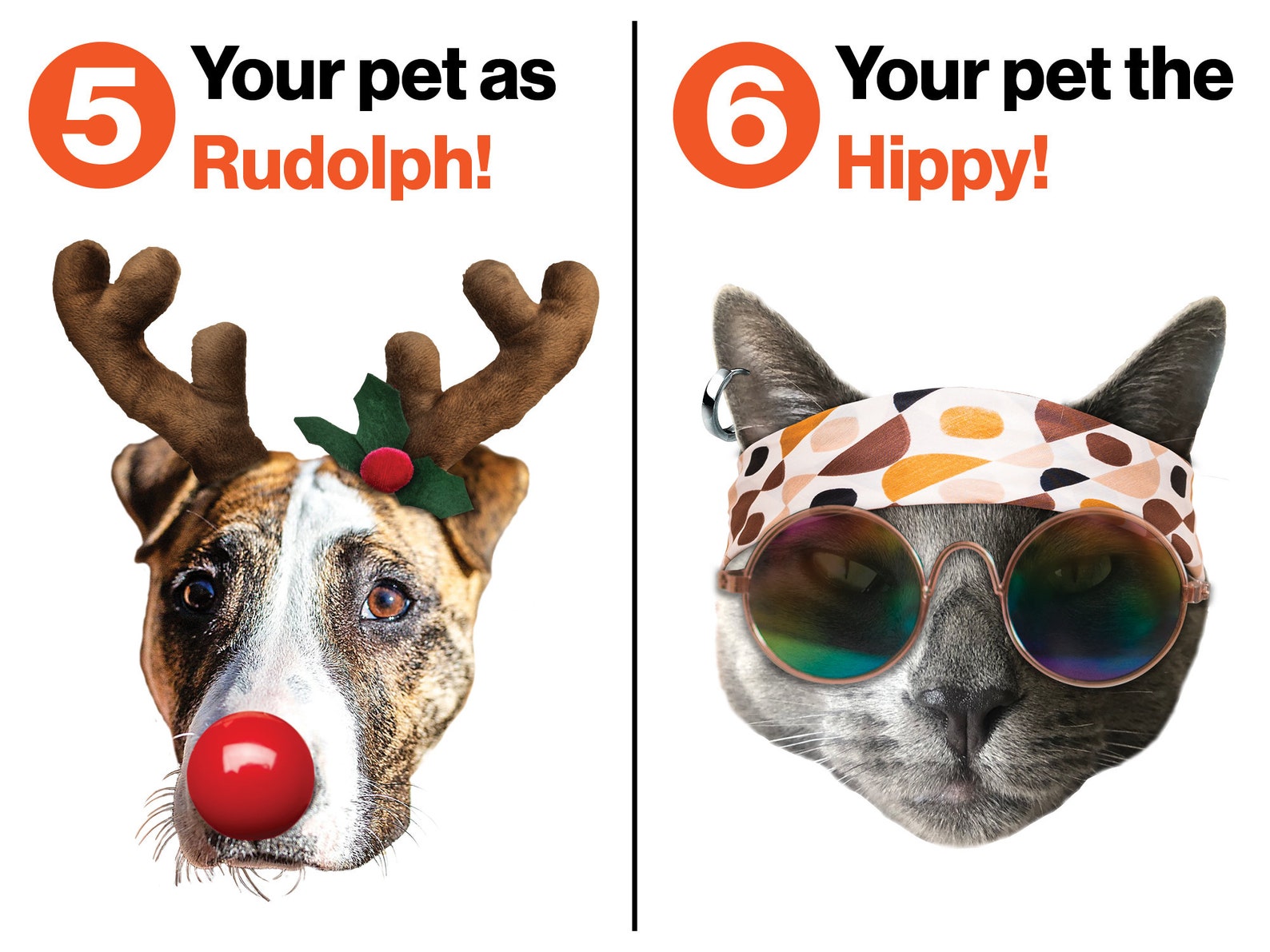 Pet Photo Booth Custom Pet Portrait Digital Pet Portrait - Etsy Australia