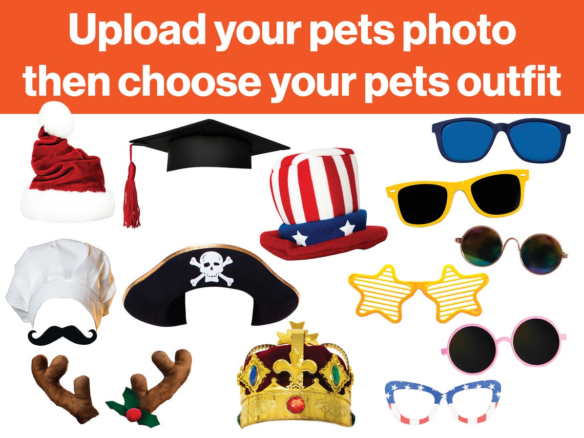 Pet Photo Booth Custom Pet Portrait Digital Pet Portrait - Etsy Australia