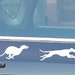 Whippets in Motion Car Window Sticker English Whippet Snap Dog on Board ...