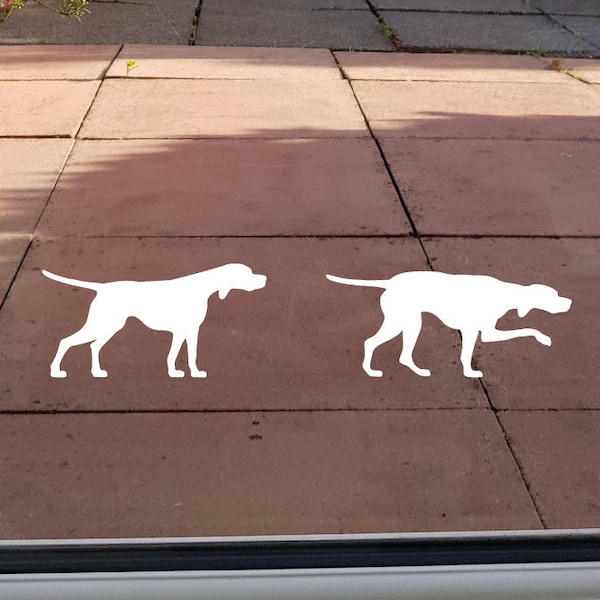 English Pointer Dog - Etsy