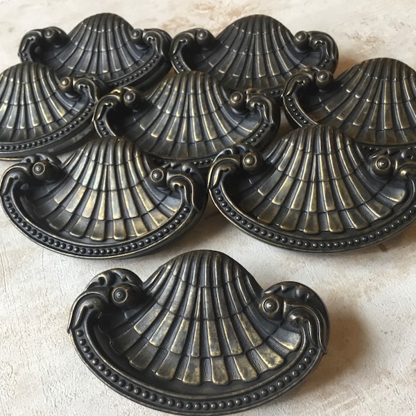 Shell Drawer Pull - Etsy