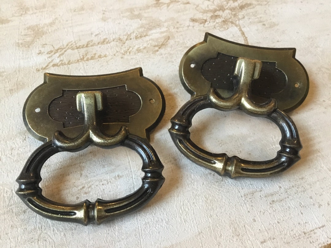 Vintage Brutalist Styled Fixed Bail Handles With Matching Backplates ...