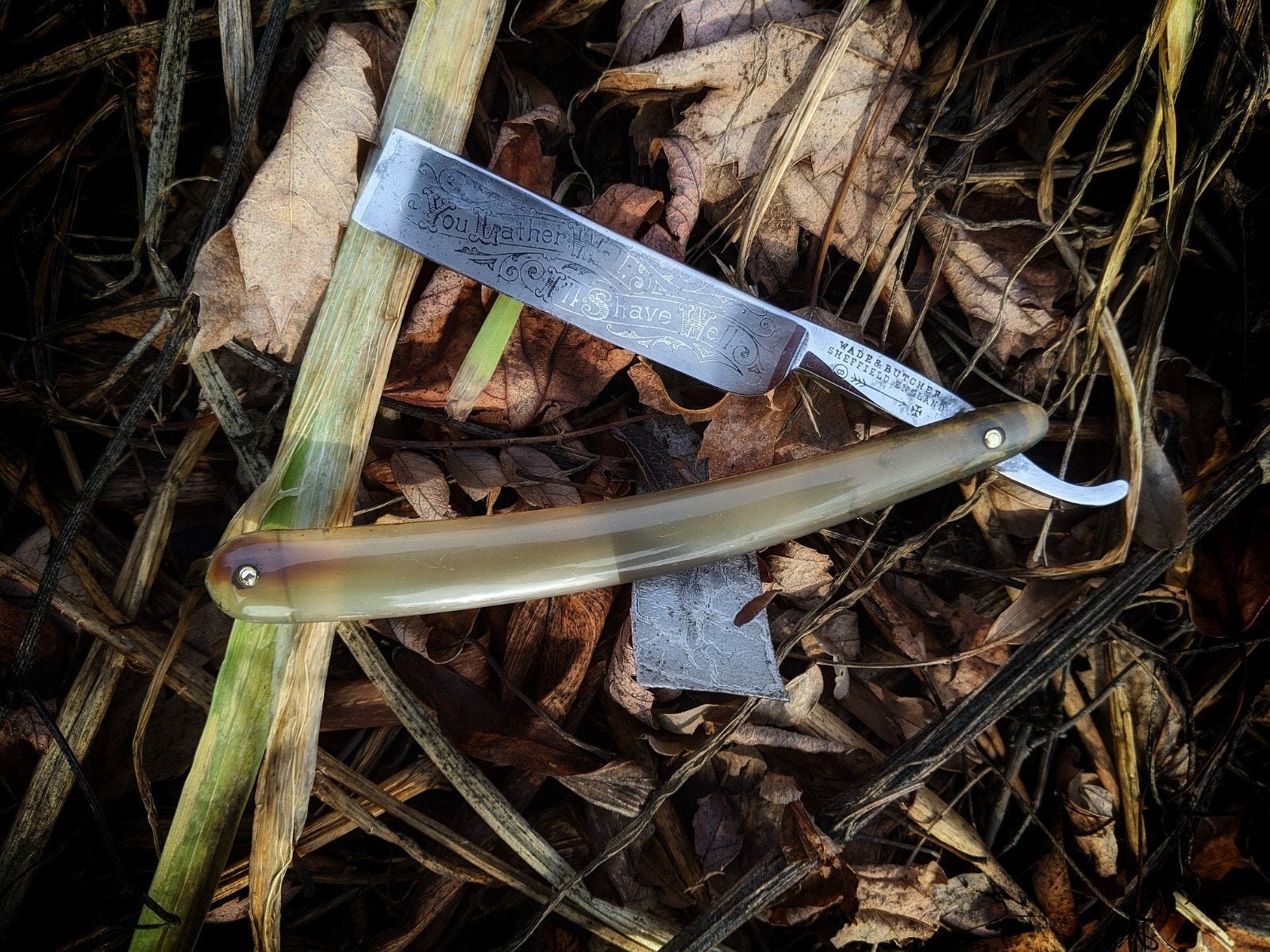 Wade and Butcher You Lather I'll Shave Steer Horn Scales 5/8