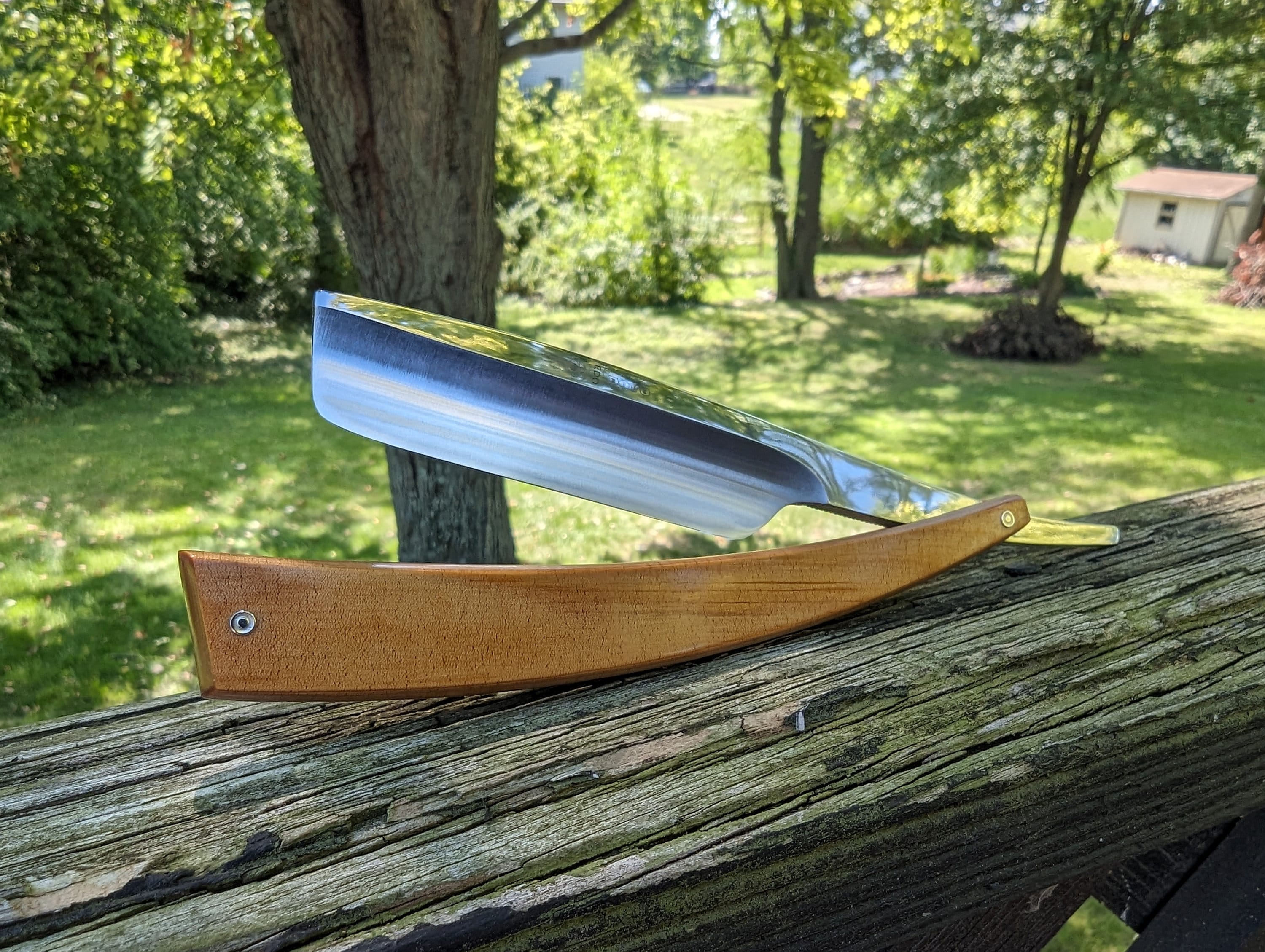 Brand new Dovo Edo full hollow, Ultra dense spruce wood Straight Razor
