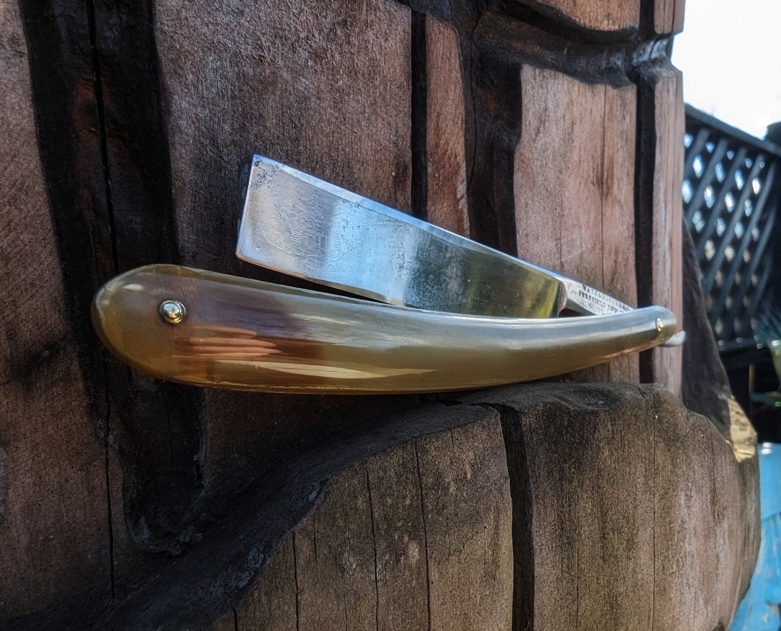 Wade and Butcher Steer Horn Scales 5/8 wedge Straight Razor shave Ready