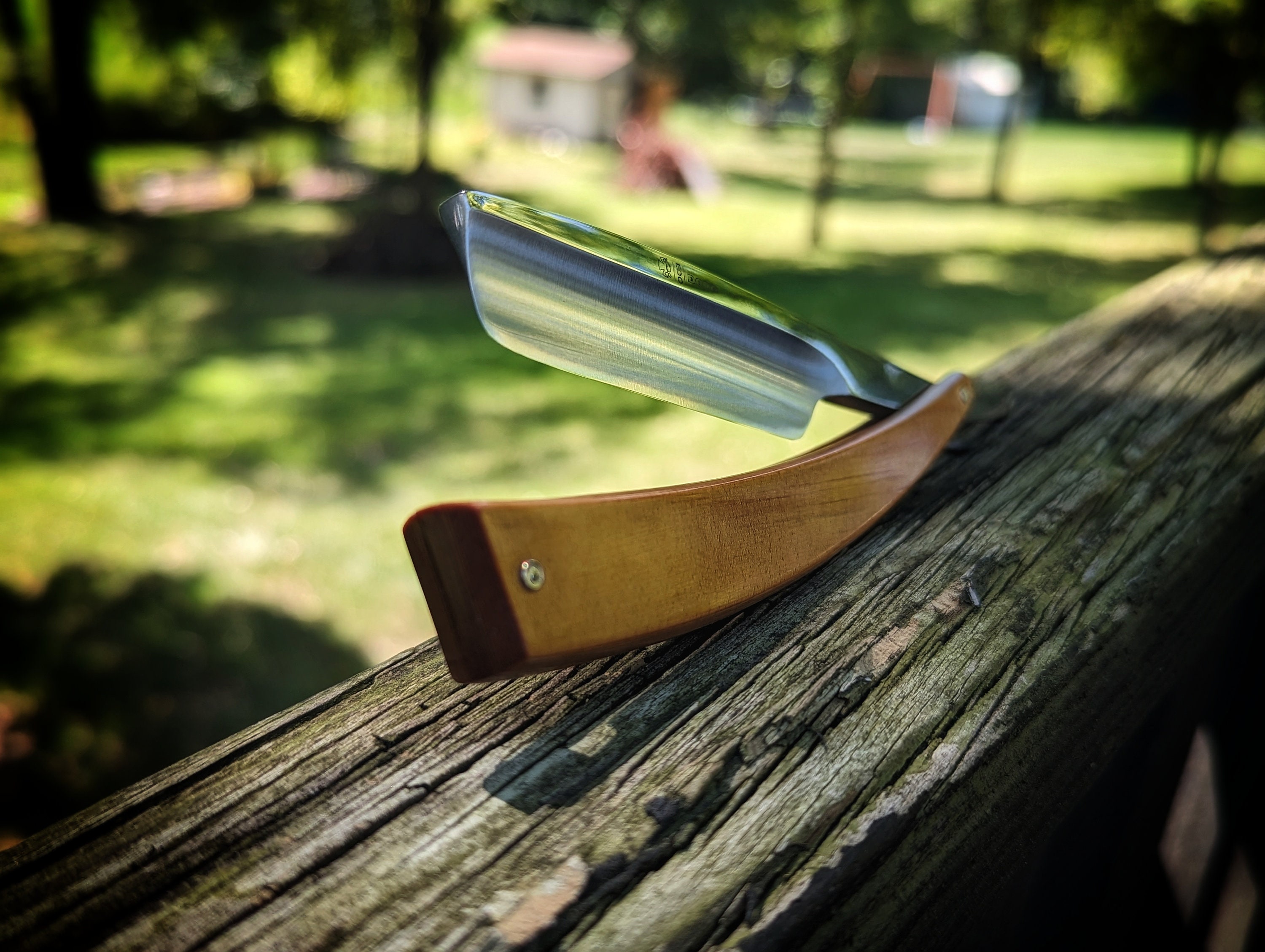 Brand new Dovo Edo full hollow, Ultra dense spruce wood Straight Razor