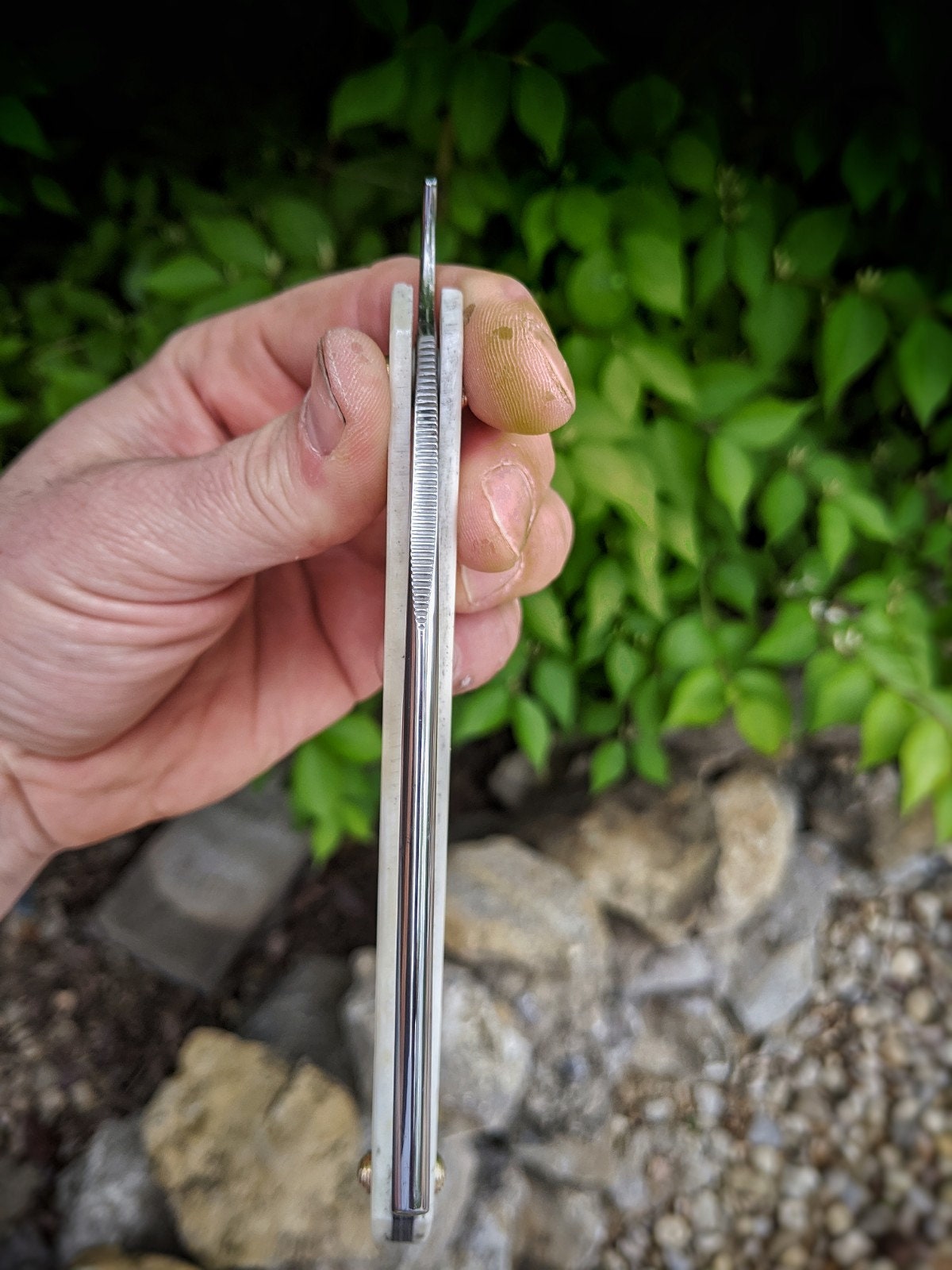 Dovo Custom Straight Razor Bone Scales brass 5/8