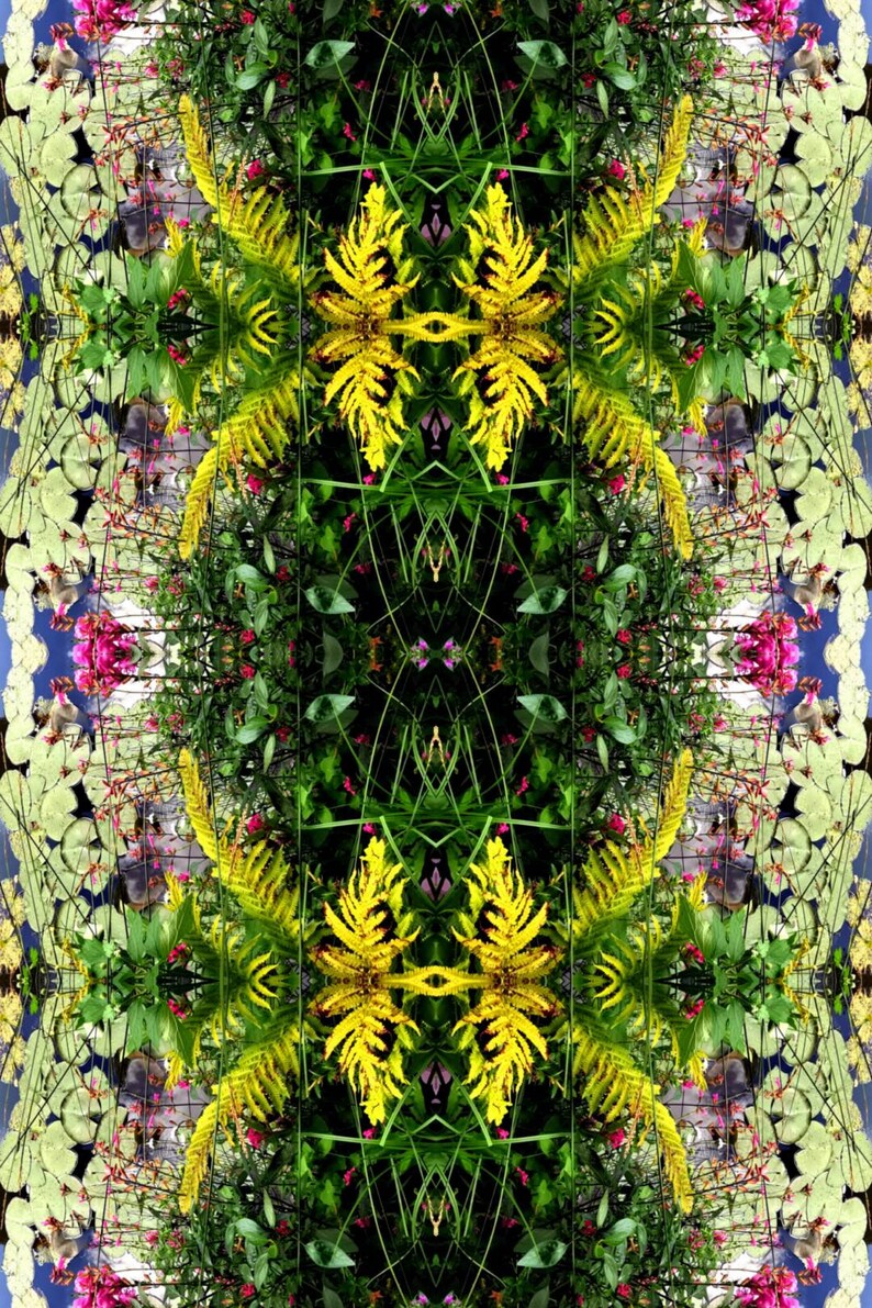 Home Décor Wall Hangings Fern magic Poster etna.com.pe