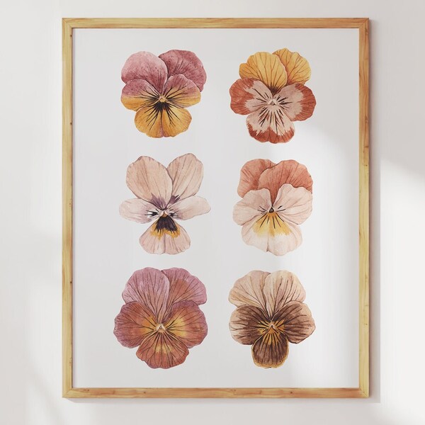 Pansy Print - Etsy