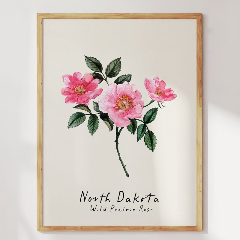 Wild Prairie Rose - Etsy