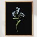 Forget Me Not Flower Print. Dark Botanical Art Print. Forget-me-not ...